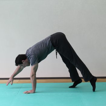 Everything You Need to Know About Stretching