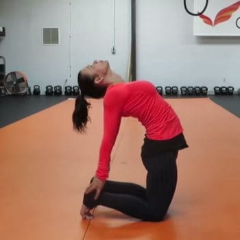 The Spine - How it Works and Addressing Problems - GMB Fitness Skills