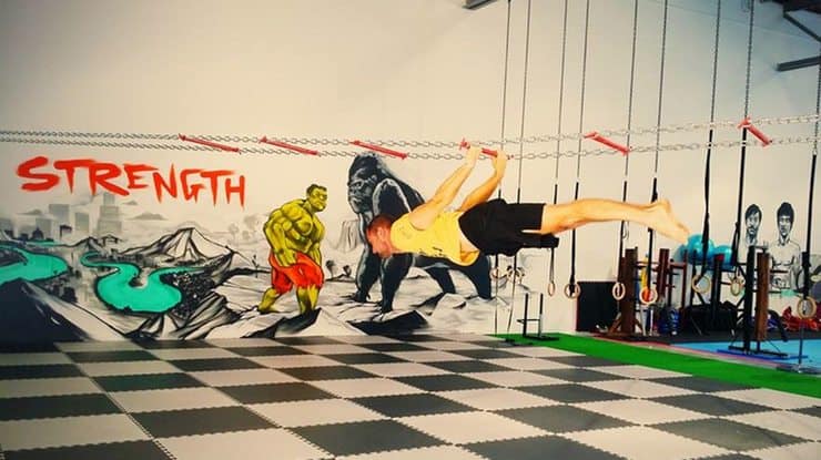 Front and Back Levers - GMB Fitness Skills