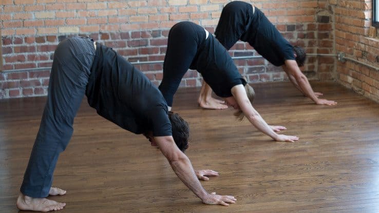 Locomotion Exercises For Strength & Agility | GMB Fitness