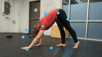 5 Better Beginner Bodyweight Exercises | GMB Fitness