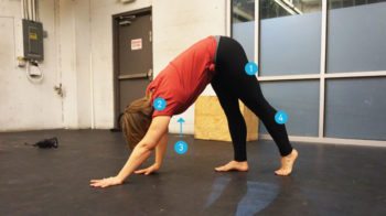 3 Dynamic Stretching Movements | GMB Fitness