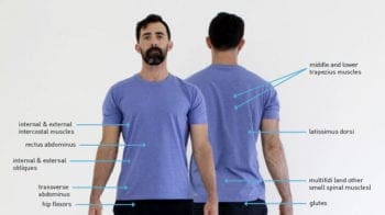 6 Core Strength Exercises (Way Better Than Crunches)