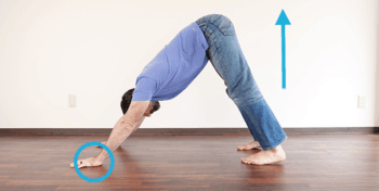 Joint Mobility Exercises & Daily Workout Video 👉 GMB Fitness