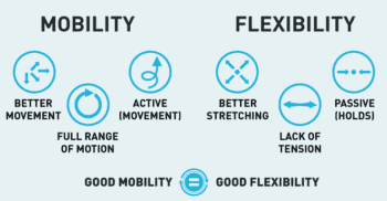 Mobility Vs. Flexibility: Clearing Up The Confusion 👉 GMB Fitness